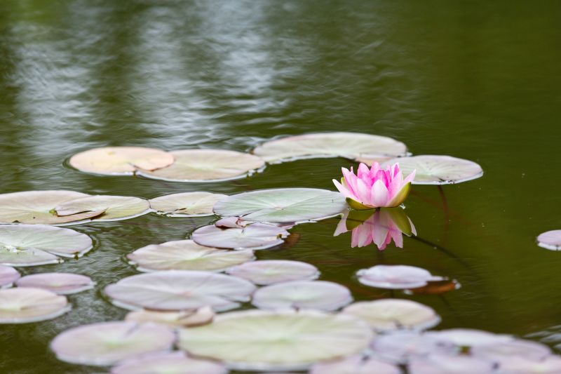 Residence on c. 4.37 Acres at Killabeg, Ferns, Co. Wexford - Kehoe & Assoc